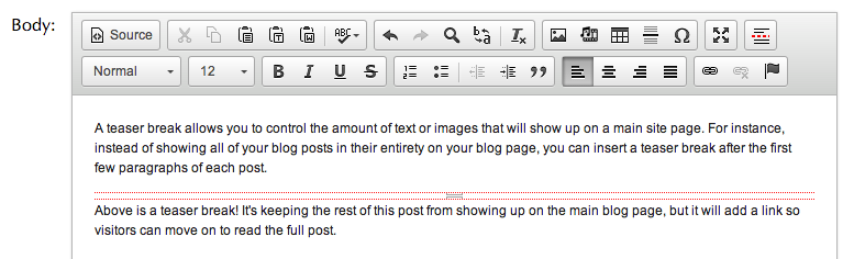 Using the Rich Text Editor | IndieMade